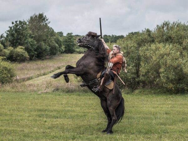 Vikinger på hesteryg - Nordjyske Museer